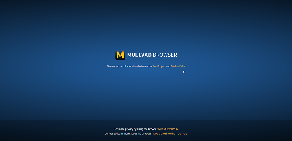 Introducing Mullvad Leta: The Privacy-Focused Search Engine