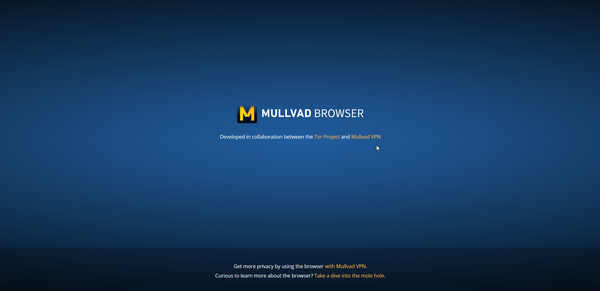 Introducing Mullvad Leta: The Privacy-Focused Search Engine